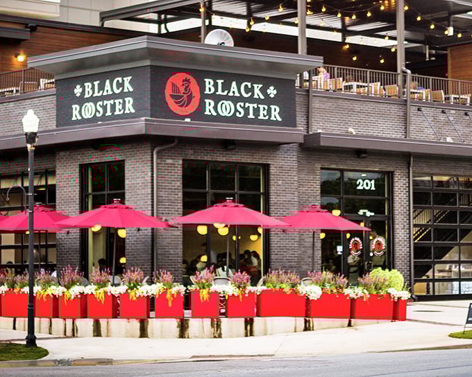 The brick fortress of flavor beckons with its vibrant red planters and cheerful umbrellas—Black Rooster's exterior promises culinary adventures within.