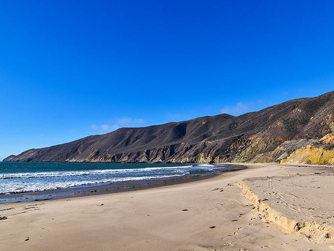 The California coastline you've dreamed about but never found—Point Sal's pristine shores offer solitude that feels like a time machine to pre-development California.