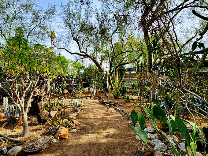 Winding paths through botanical chaos – where every turn reveals another impossible plant that shouldn't exist but absolutely does.