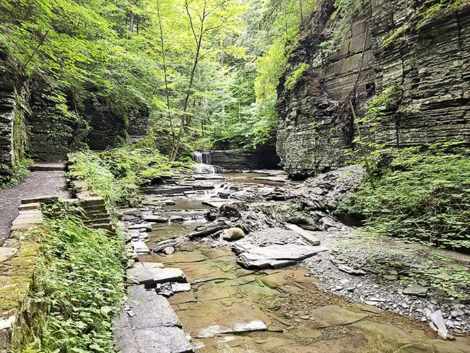 The gorge trail at Fillmore Glen reveals nature's architecture – layered shale walls rising like ancient skyscrapers while a gentle stream carves its patient path below.