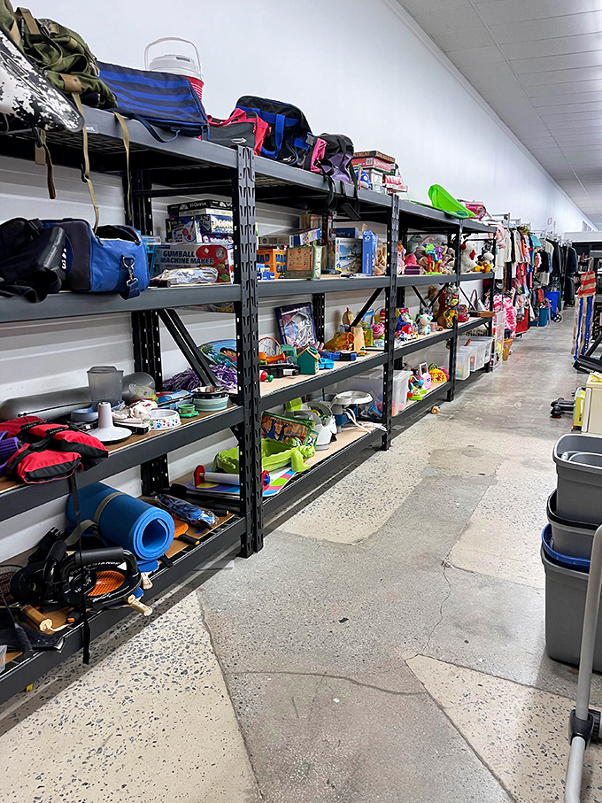 Organized chaos at its finest – where camping gear meets children's toys in the retail version of "six degrees of separation."