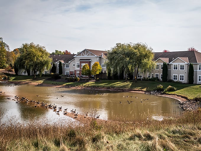 Geese have clearly discovered what humans are figuring out—Elkhart Lake's peaceful waters make for the perfect weekend retreat.