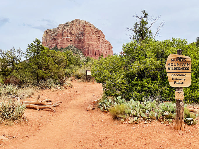 The path to Bell Rock offers a geological history lesson with every step. No textbook required—just comfortable shoes and an open mind.