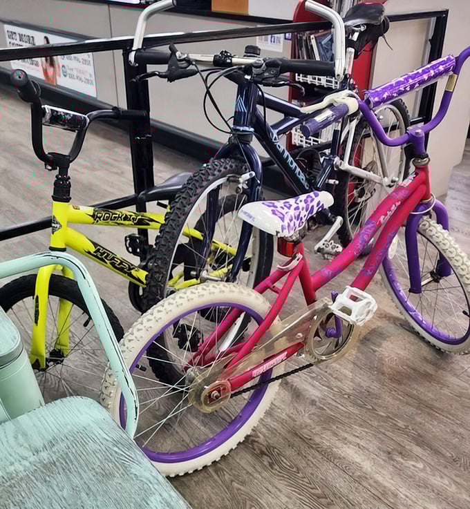 Bikes in every color of the rainbow – childhood dreams on wheels, waiting for their second act in the Florida sunshine.