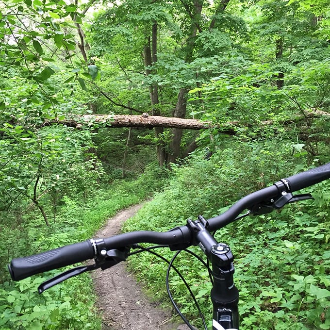 Mountain biking nirvana: Lush green trails wind through the forest, offering thrills for riders and a workout that beats any gym.