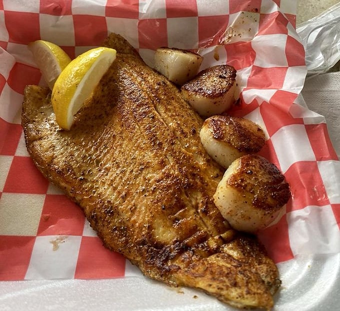 Blackened trout with a lineup of scallops that look like they've been seared by angels. The simple red-and-white checkered paper somehow makes it taste better.