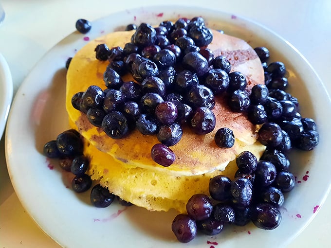 Blueberry pancakes that make you question why anyone bothered inventing other breakfast foods—golden discs of joy crowned with nature's perfect fruit.