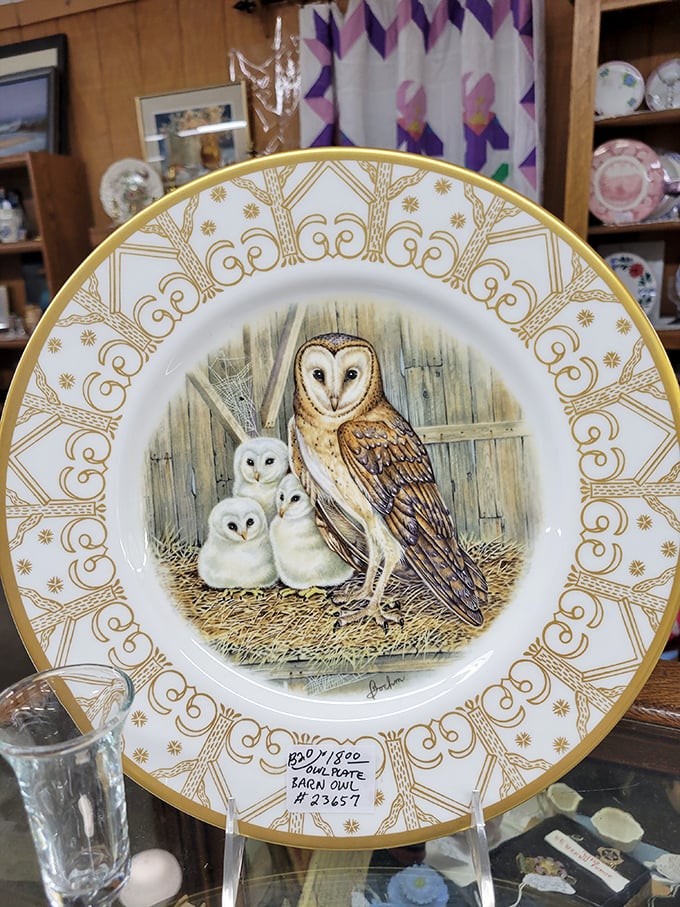 This isn't just a decorative plate—it's functional art where barn owls keep watch over your dinner rolls with golden-rimmed elegance.