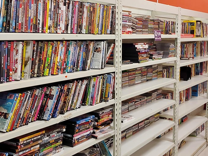 DVDs stacked like literary dominoes – your next binge-watch session costs less than a fancy coffee.