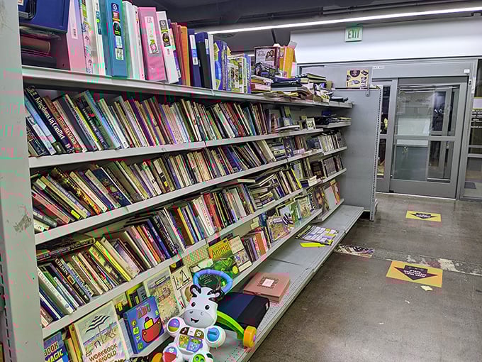 A bibliophile's dream come true. More variety than an algorithm could ever recommend, with the added thrill of possible first editions hiding in plain sight.