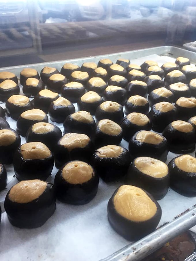These chocolate-topped peanut butter buckeyes aren't just treats, they're an Ohio tradition transformed into donut form—culinary genius at work.