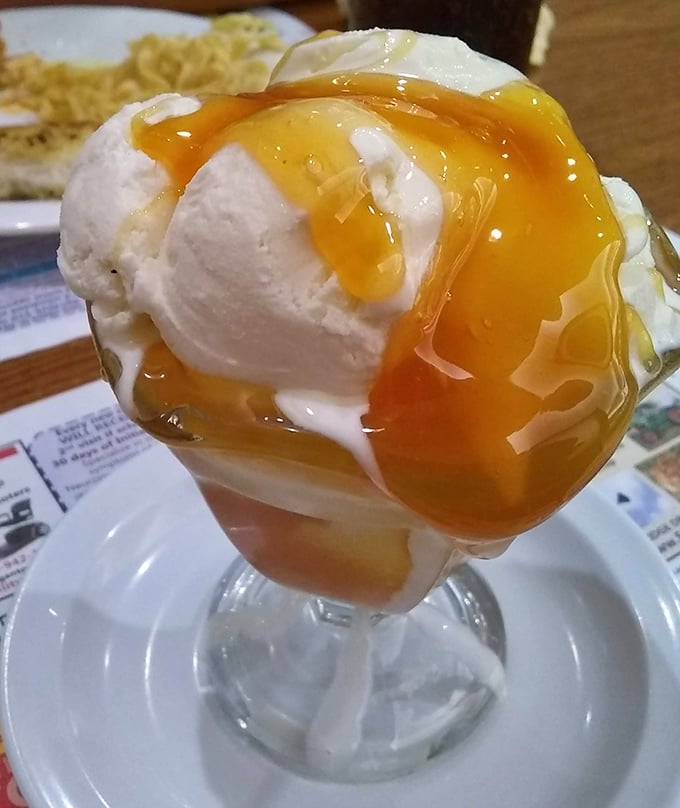 Ice cream and butterscotch sauce performing their sweet duet in a parfait glass—a timeless dessert that whispers, "Diet? What diet?"