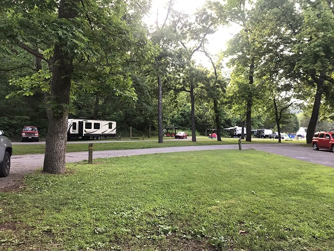 Camping among giants – towering trees provide natural air conditioning for RVs and tents alike in Roaring River's spacious, well-maintained campgrounds.