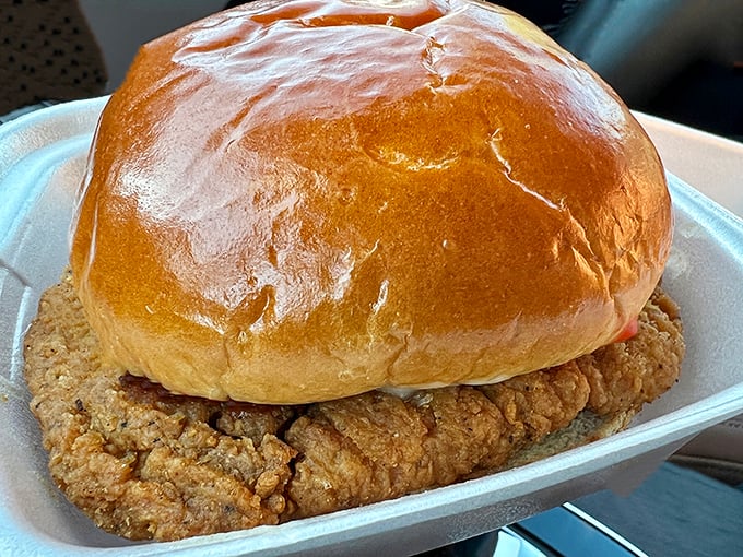 The chicken sandwich's golden-brown perfection suggests it wasn't rushed—a refreshing reminder that fast food doesn't have to sacrifice quality for speed.