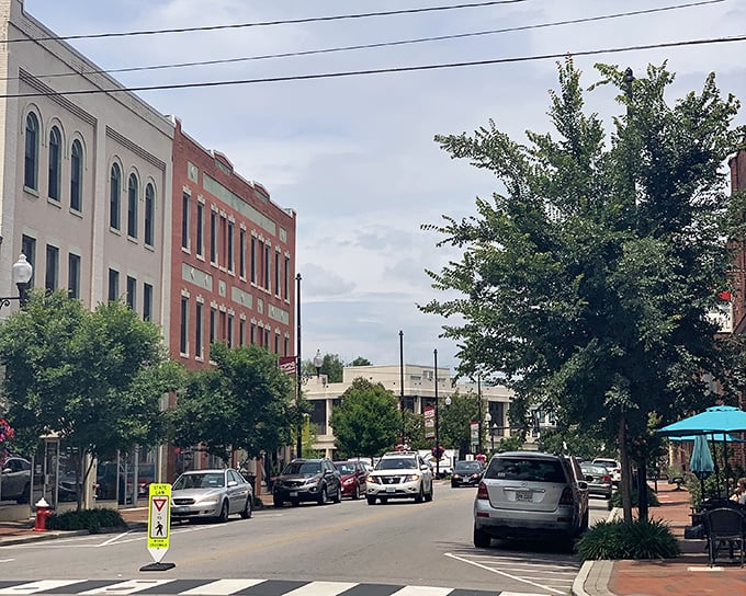 Tree-lined streets and historic buildings create Danville's distinctive urban canopy – small-town charm with a dash of sophistication.