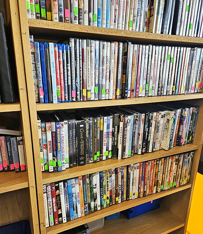 The DVD library that Netflix forgot—physical media heaven where forgotten films and TV series await rediscovery for pocket change.