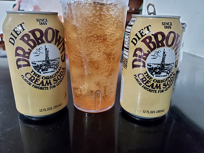 Dr. Brown's Cream Soda—the unofficial beverage of serious deli enthusiasts—offers sweet, bubbly nostalgia in every sip, a perfect pairing for pastrami.