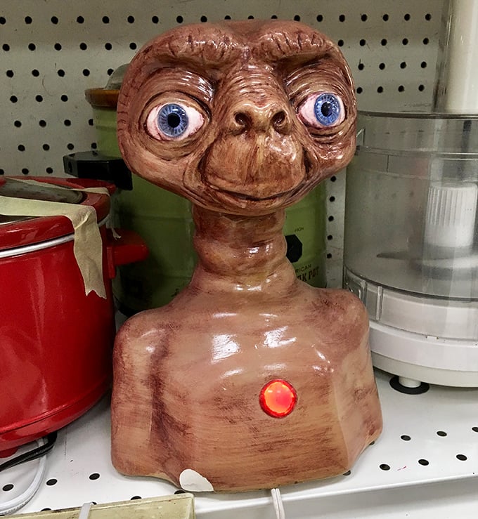 E.T. wants to phone home, but first he needs someone to adopt him from this shelf.
