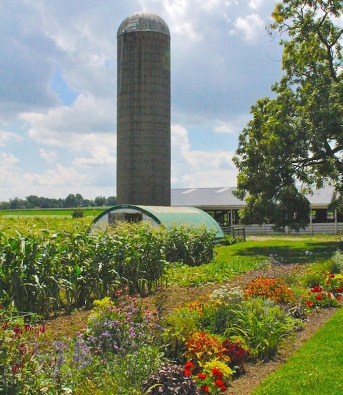 Where flowers and vegetables share real estate beneath towering silos—proof that functionality and beauty aren't mutually exclusive in farm design.