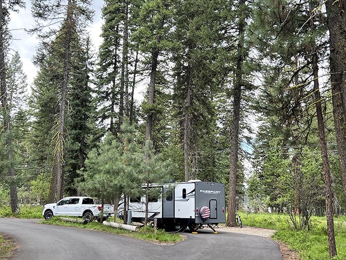 RV camping with five-million-star accommodations. The pines provide privacy screens better than any fence ever could.