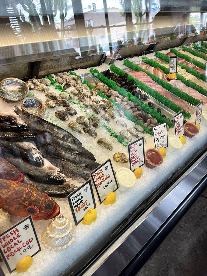 The display case at El Pescador isn't just refrigeration—it's a gallery exhibition where the ocean's finest creations await your appreciation.