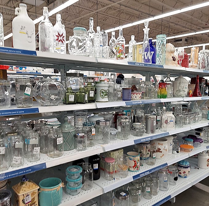 Crystal, glass, and ceramic vessels of every shape stand in formation, like a transparent army ready to hold flowers, drinks, or simply catch light.