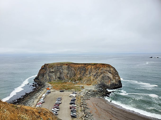 At Goat Rock Beach, the Pacific performs its eternal dance with the shoreline, creating a natural amphitheater of awesome geological proportions.