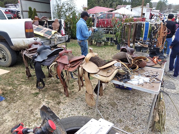 These well-worn saddles carry the ghosts of countless rides, each crease and scratch a chapter in some cowboy's unwritten memoir.