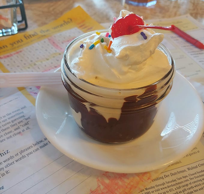 A sundae that understands the importance of proper whipped cream-to-chocolate ratio, topped with a cherry that's basically just showing off at this point.