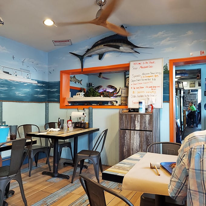 Ocean murals and mounted marlins transport you to coastal waters, making you momentarily forget you're in the Appalachian Mountains.
