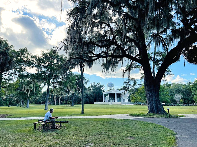 A moment of tranquility under Spanish moss chandeliers. This peaceful scene is the antidote to doom-scrolling—nature's own digital detox program.