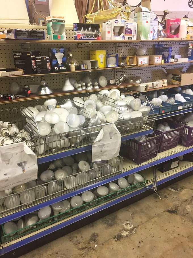 The light bulb section illuminates more than rooms—it brightens budgets too. Edison would approve of this brilliant collection of illumination options.