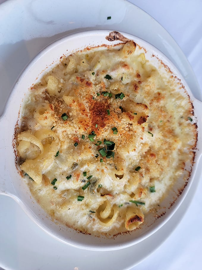 Mac and cheese that's had a glow-up worthy of a Hollywood makeover. That golden crust is hiding treasures beneath—seafood secrets worth discovering.