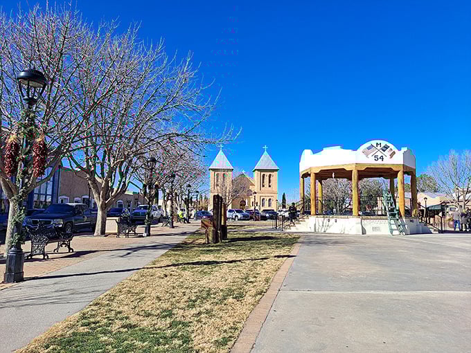 Winter reveals the bones of Mesilla Plaza, where bare trees frame the basilica and gazebo in a scene straight from a southwestern Christmas card.