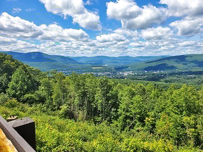 From Mount Greylock's summit, the Berkshire valley unfolds like nature's IMAX, offering million-dollar views that cost nothing but the effort to reach them.