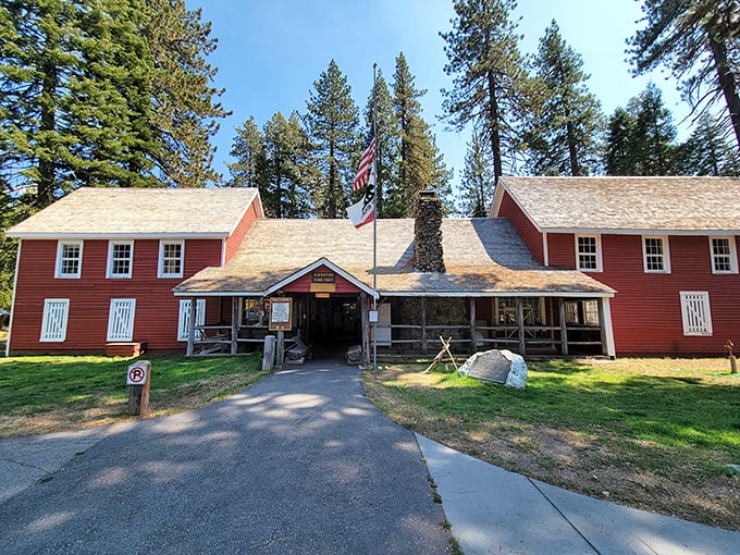 The historic museum—where California's gold rush past meets present-day curiosity in a building that's seen more stories than Netflix.