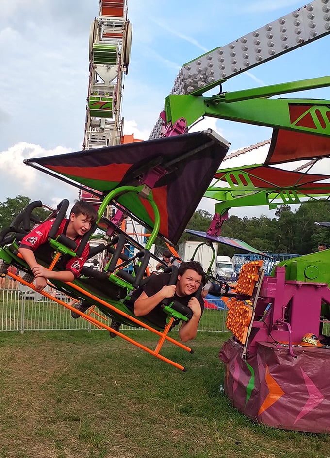 The county fair brings the kind of simple joy that no smartphone app can replicate – actual screams on actual rides with actual people.