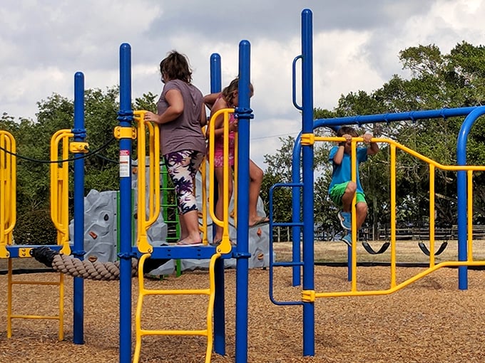 The playground at Matlacha Community Park—where kids burn energy and parents secretly wish they could join the climbing fun.