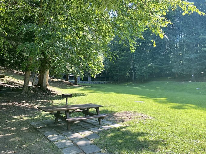 Sometimes the perfect dining room has no walls—just a picnic table under towering trees where birdsong provides the background music.