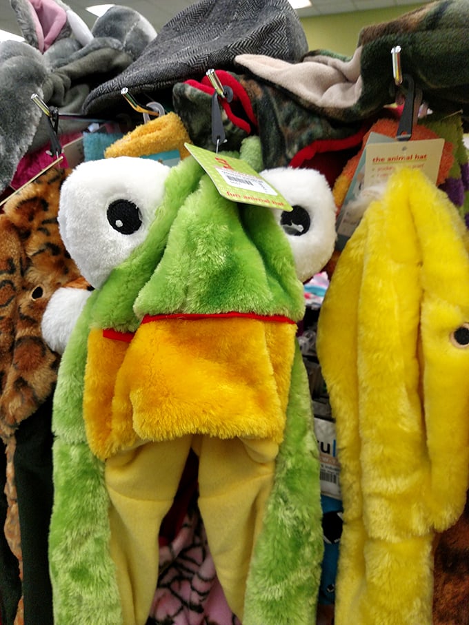 Meet your new conversation starter! This frog hat waited patiently through donation, sorting, and pricing just to find its rightful owner—could that be you?