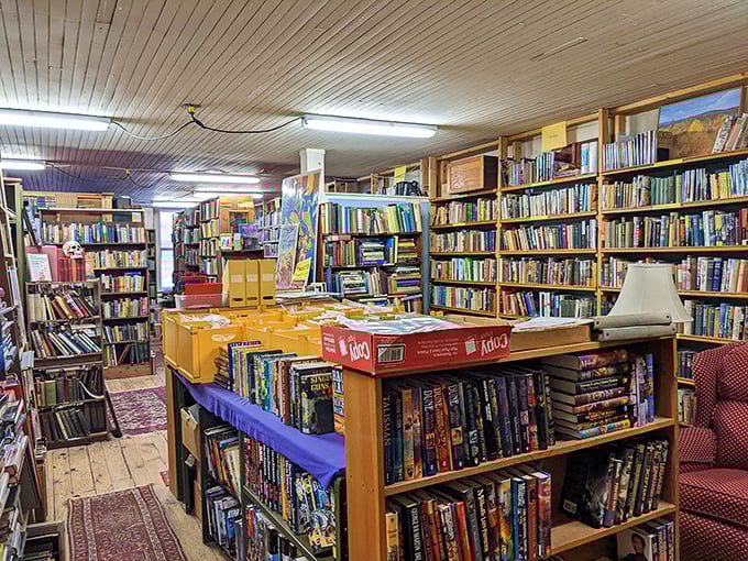 Riverow Bookshop isn't organized by algorithm—it's curated by actual humans who know books better than your smartphone knows you.