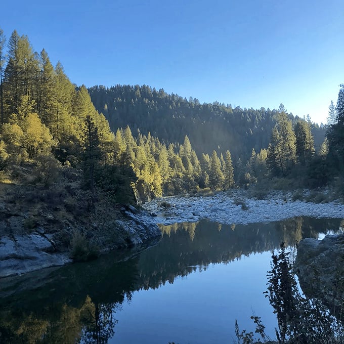 The Yuba River's crystal waters flow beneath towering pines, creating swimming holes that rival any resort pool—minus the chlorine and cocktail service.