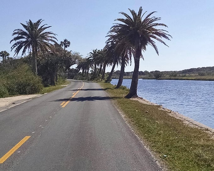 Where land meets water in perfect harmony, creating the kind of roadside view that makes you forget your destination.