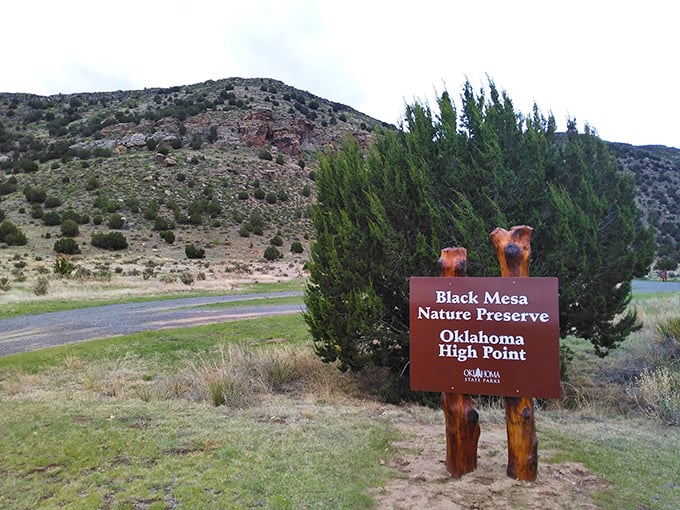 The nature preserve signage welcomes you to Oklahoma's highest point, where elevation equals bragging rights for life.