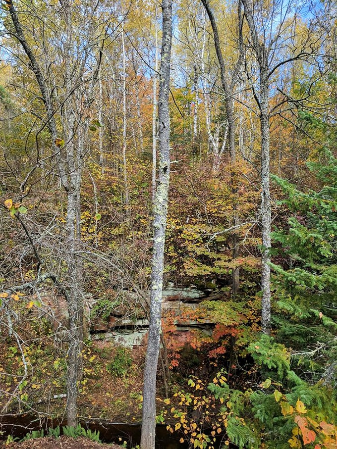 Fall foliage creates a painter's palette around the park's rocky outcroppings. Even the trees seem to be showing off for each other.