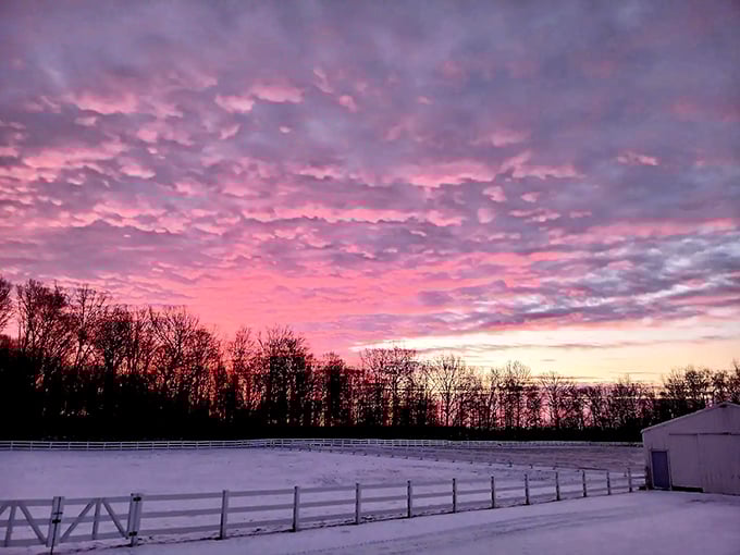 Cotton candy skies at day's end. This sunset view proves that Ohio can deliver celestial spectacles worthy of the most dramatic western landscapes.
