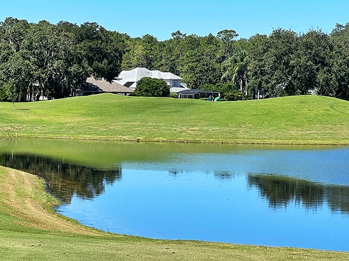 Golf with a view? The Country Club of Mount Dora offers greens that roll toward blue waters, making even a triple bogey feel like a scenic achievement.