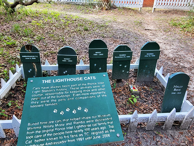 Even the lighthouse cats get their own memorial here, proving that feline employees have always demanded proper recognition and benefits.