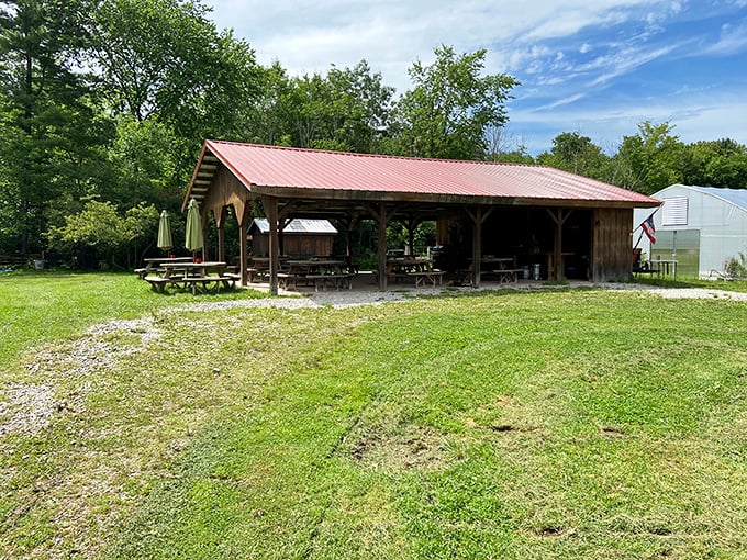 This rustic pavilion at The Spicy Lamb Farm practically begs for a community gathering – just add friends, food, and stories that grow taller with each telling.