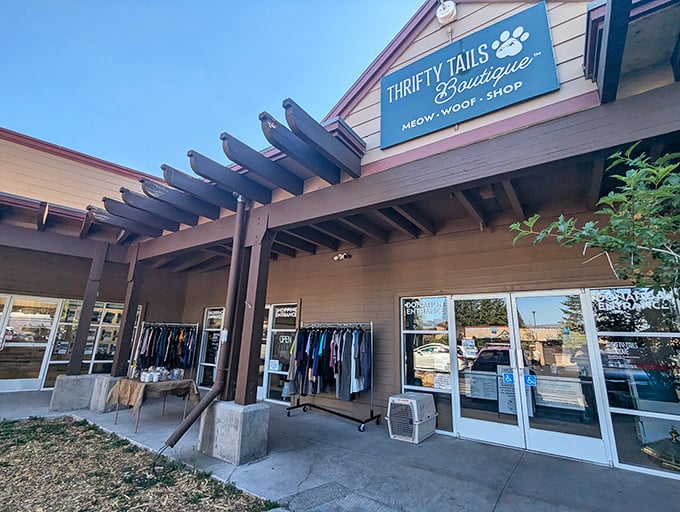 Thrifty Tails Boutique – where mountain town practicality meets unexpected charm. Even the shopping here feels like an outdoor adventure.